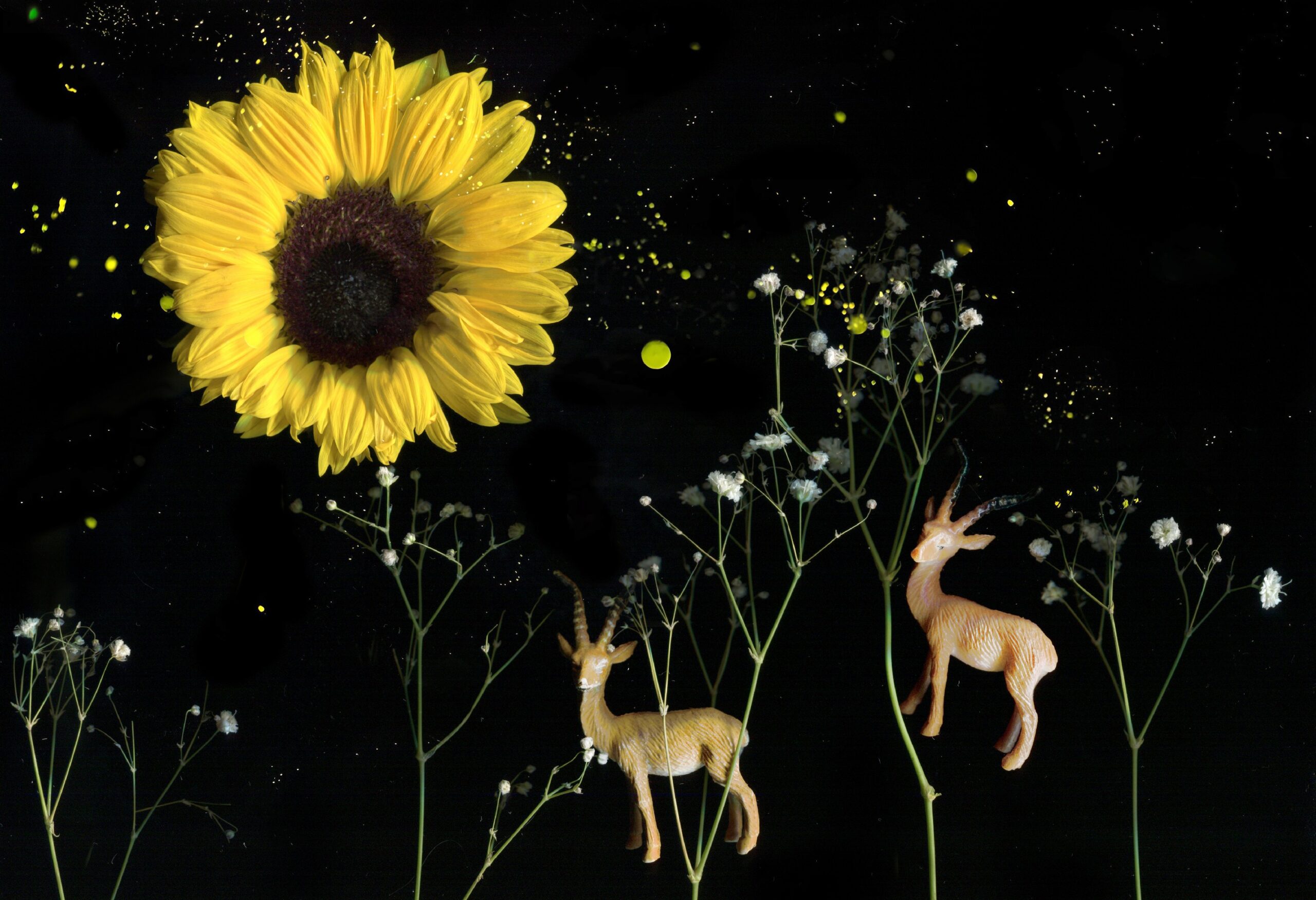 Small Works: Embark - Co|So - Copley Society of Art